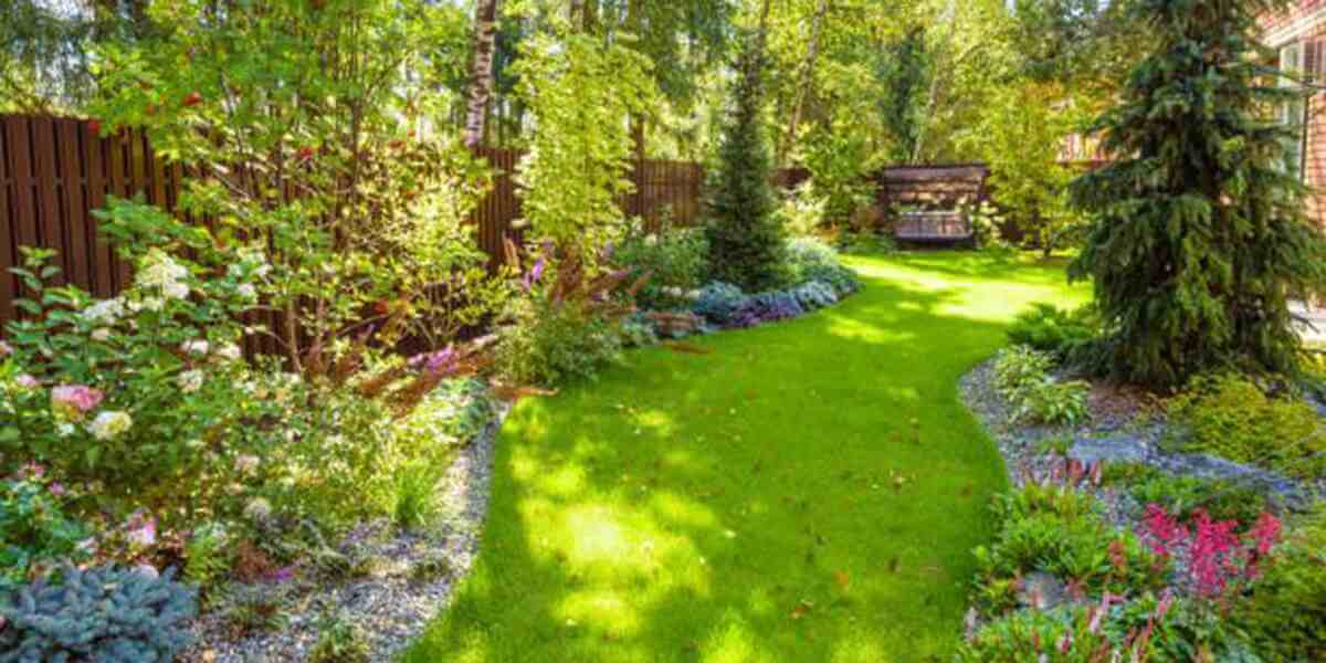 How to Prevent Transplant Shock in Trees & Promote Recovery